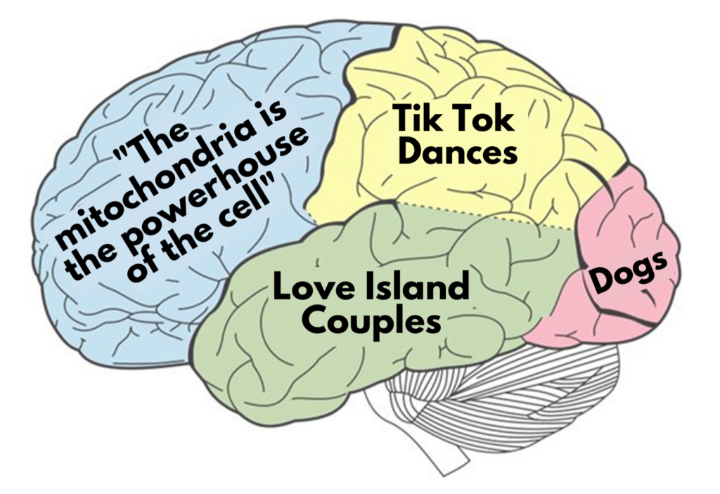 Must Know Formulas for the ACT - Test Geek Blog
